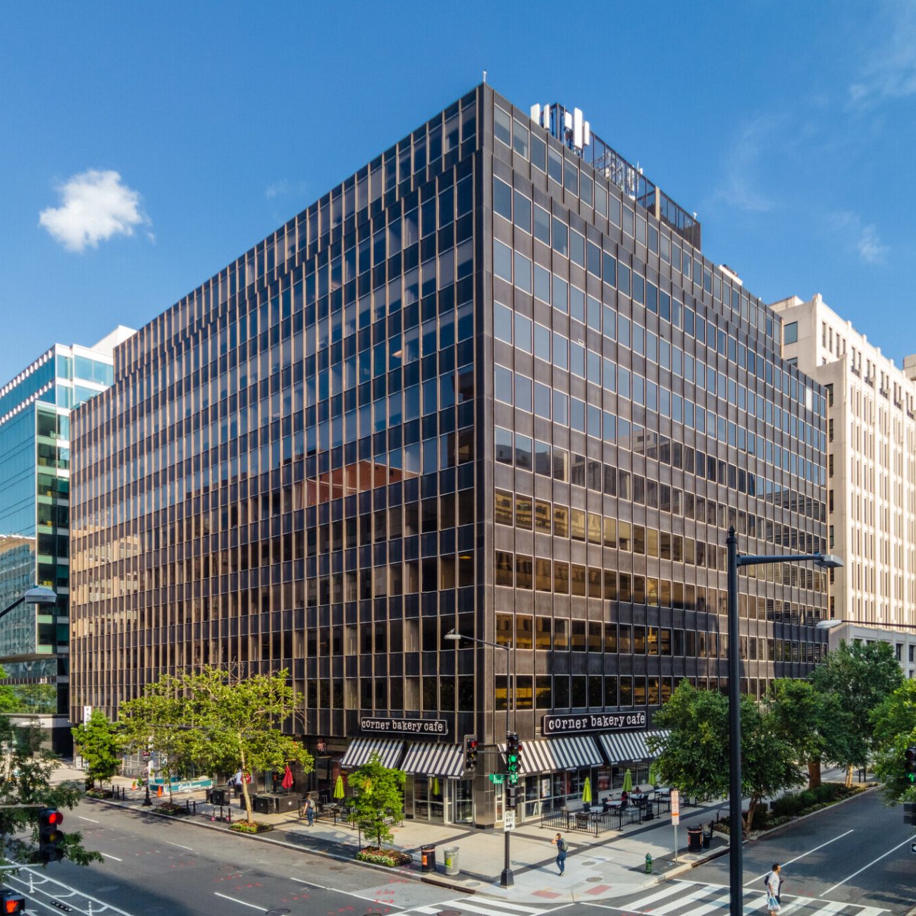 What is SFOT? Surgically Facilitated Orthodontic Therapy Explained ...